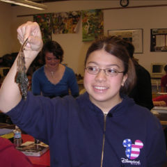 Welcome to the Leaf Pack Network - Leaf Pack Network