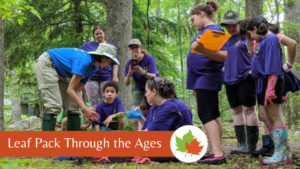 Welcome to the Leaf Pack Network - Leaf Pack Network