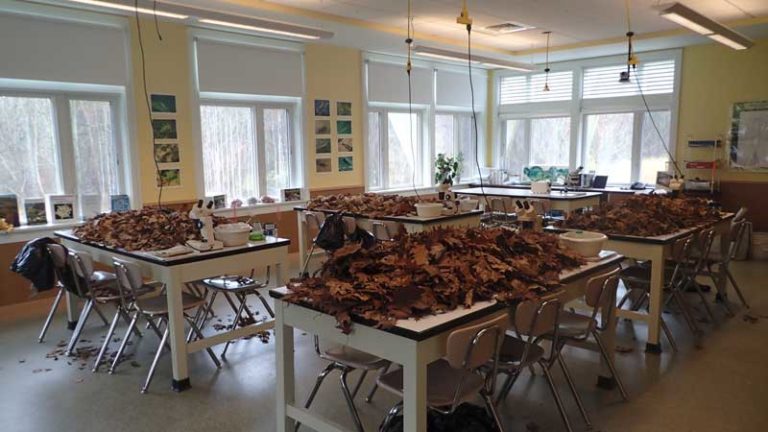 Welcome to the Leaf Pack Network - Leaf Pack Network