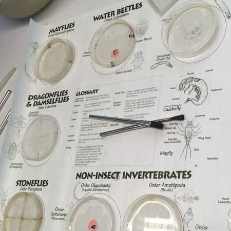 Learn - Leaf Pack Network