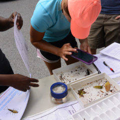 Welcome to the Leaf Pack Network - Leaf Pack Network