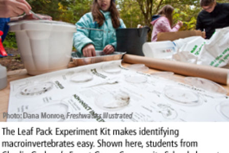 Using Leaf Packs to Measure Water Quality in Peru - Leaf Pack Network