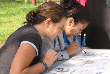 What's the Best Time to Do a Leaf Pack Experiment? - Leaf Pack Network