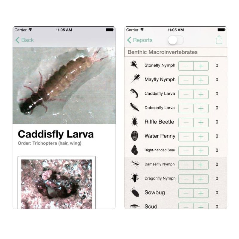 Leaf Pack Network Data Can Now Be Entered Into the Water Quality Mobile ...
